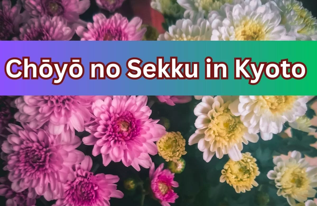 Chōyō no Sekku in Kyoto: The Celebration of the Double Ninth Festival ...