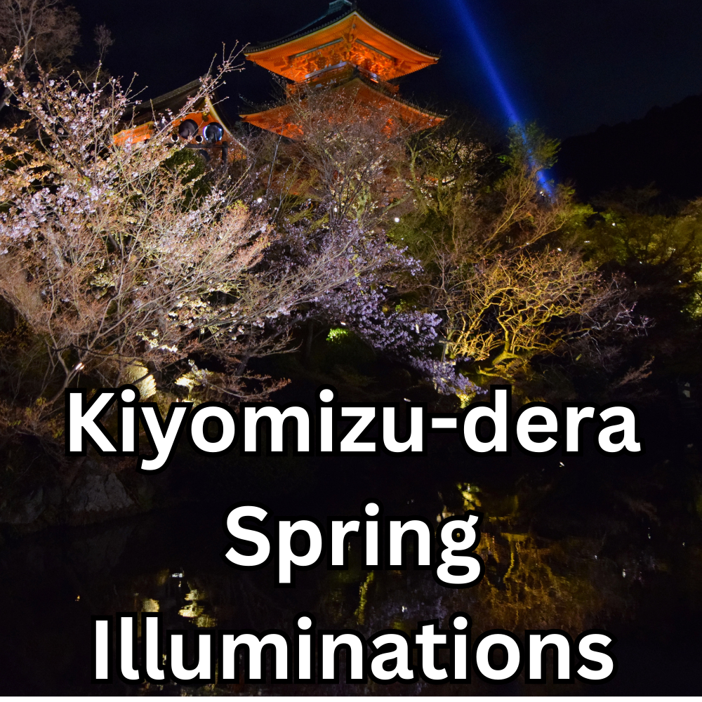 Kiyomizudera Temple's Seasonal Evening Illuminations