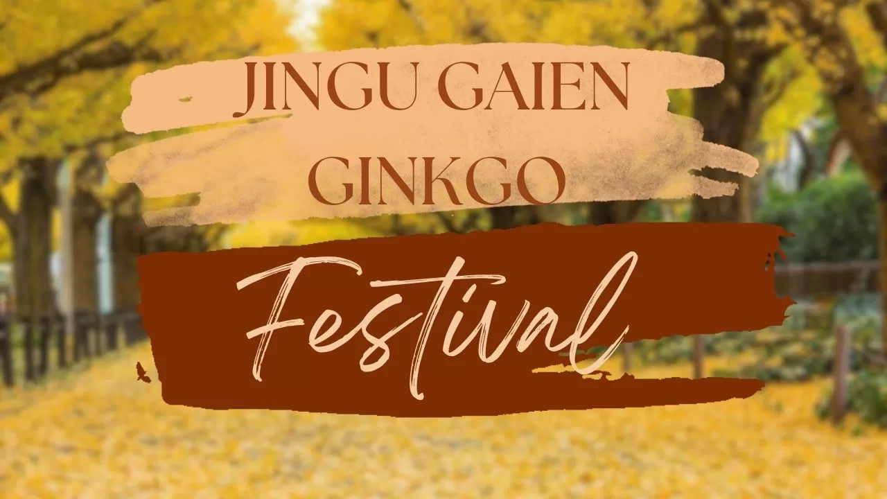 Jingu Gaien Ginkgo Festival: An Unmissable Display of Autumn in Full Swing
