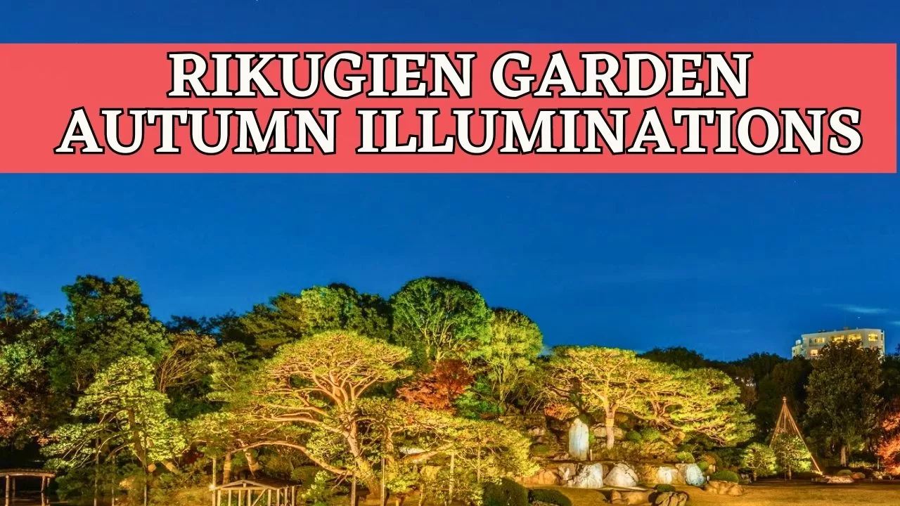 Rikugien Garden Autumn Illumination Known as Tokyo's Best Autumn Leaf View