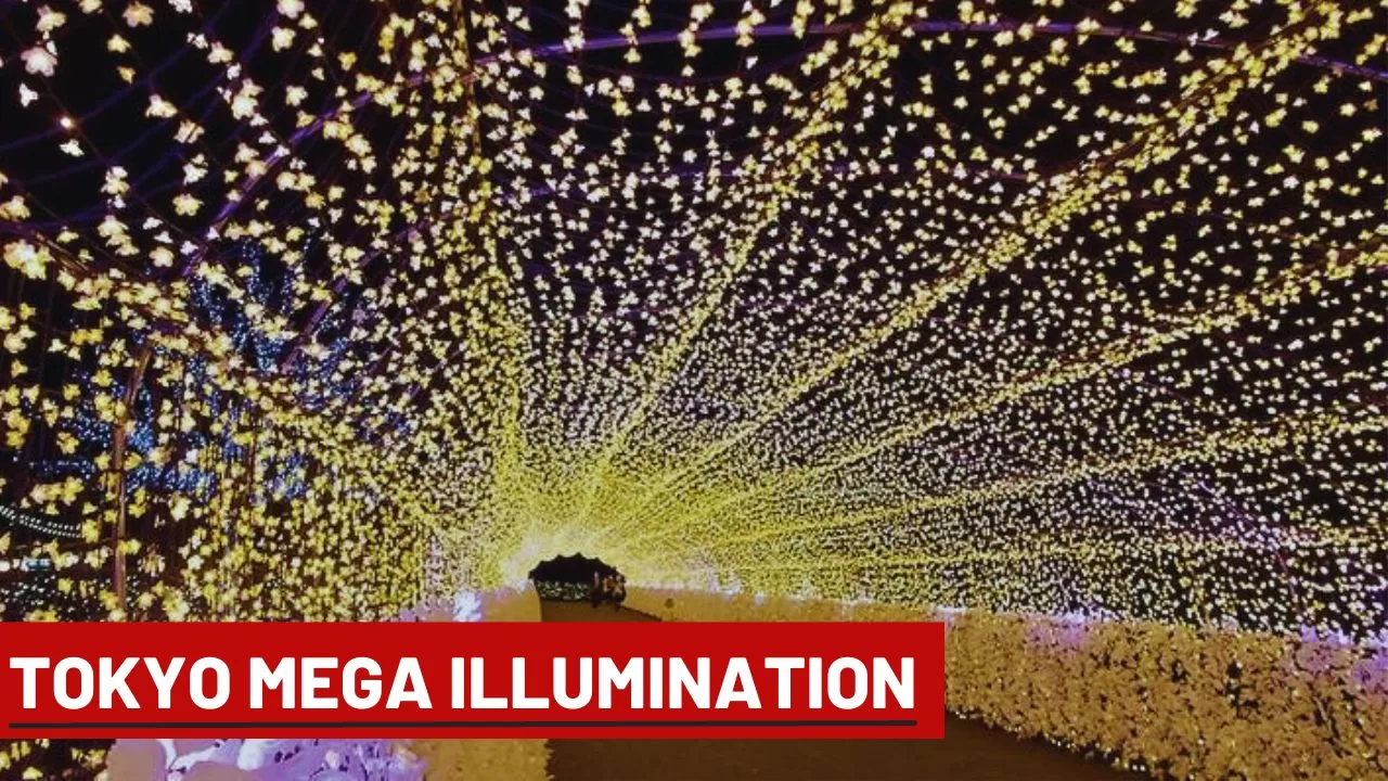 Tokyo Mega Illumination Returns for Fifth Year at Oi Racecourse
