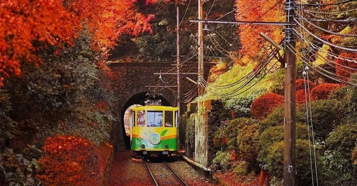 Experience Tokyo's Most Breathtaking Autumn Foliage at These 7 ...